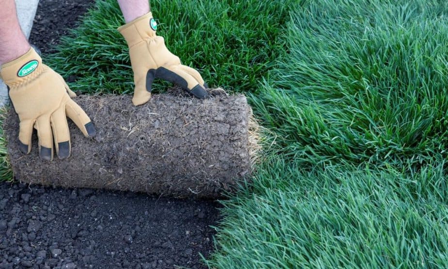 How to Lay Sod Over Existing Grass: A Step-by-Step Guide